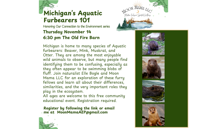 Milan Events - One place for all events in Milan, MI