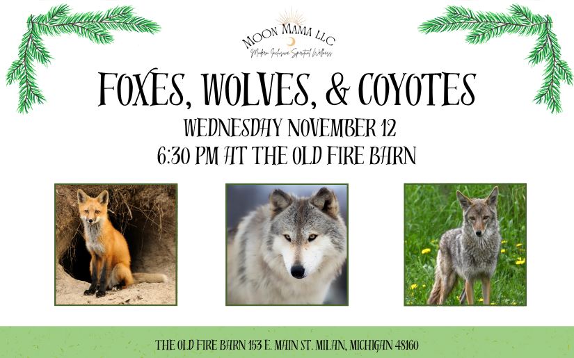 Foxes, Wolves & Coyotes in Milan, Michigan
